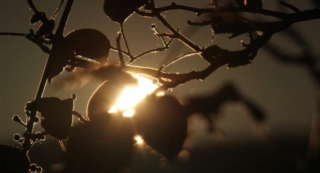 La luna e le luci della Lucania in 60" — Time Lapse Italia