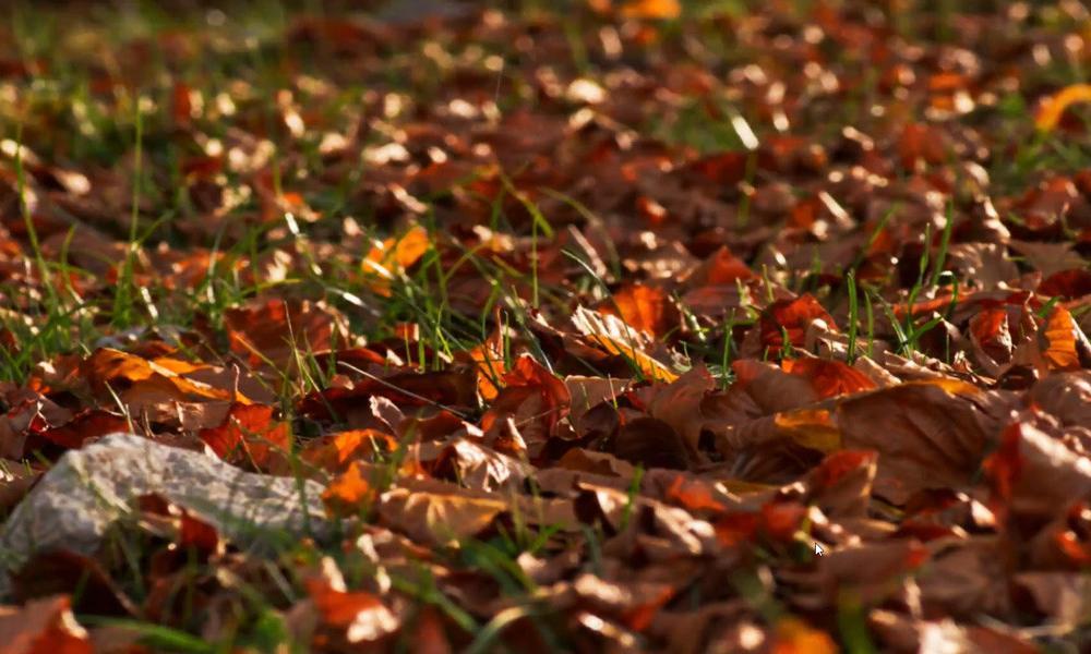 Viaggio nel "caldo" autunno del Cilento — Time Lapse Italia