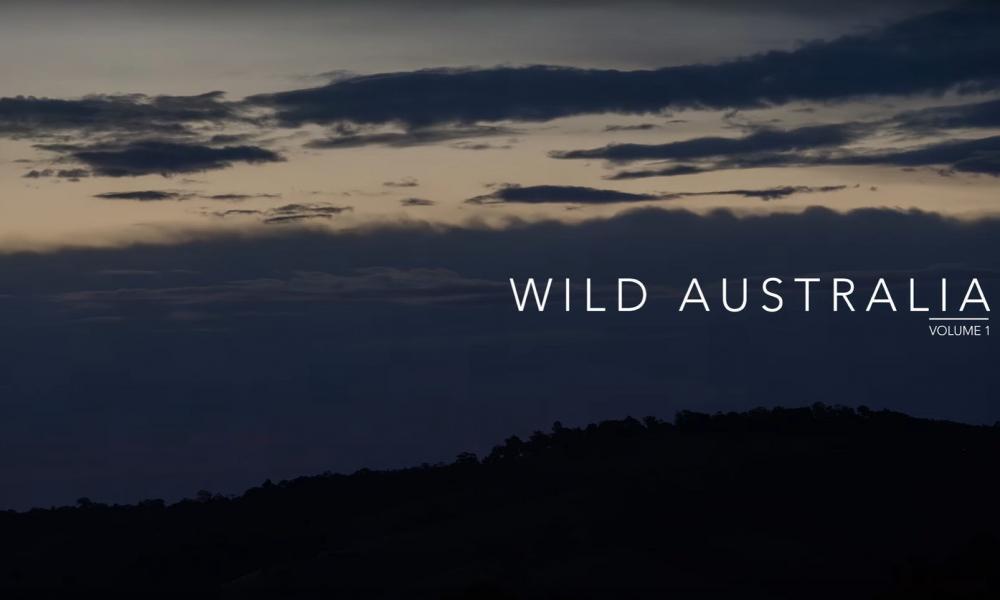 Wild Australia Volume 1 — Time Lapse Italia